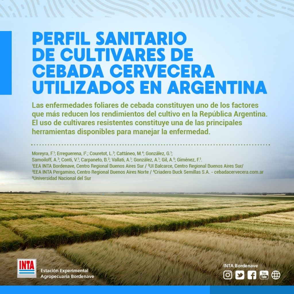 Cultivo | Cebada Cervecera | Producción, variedades y mercados