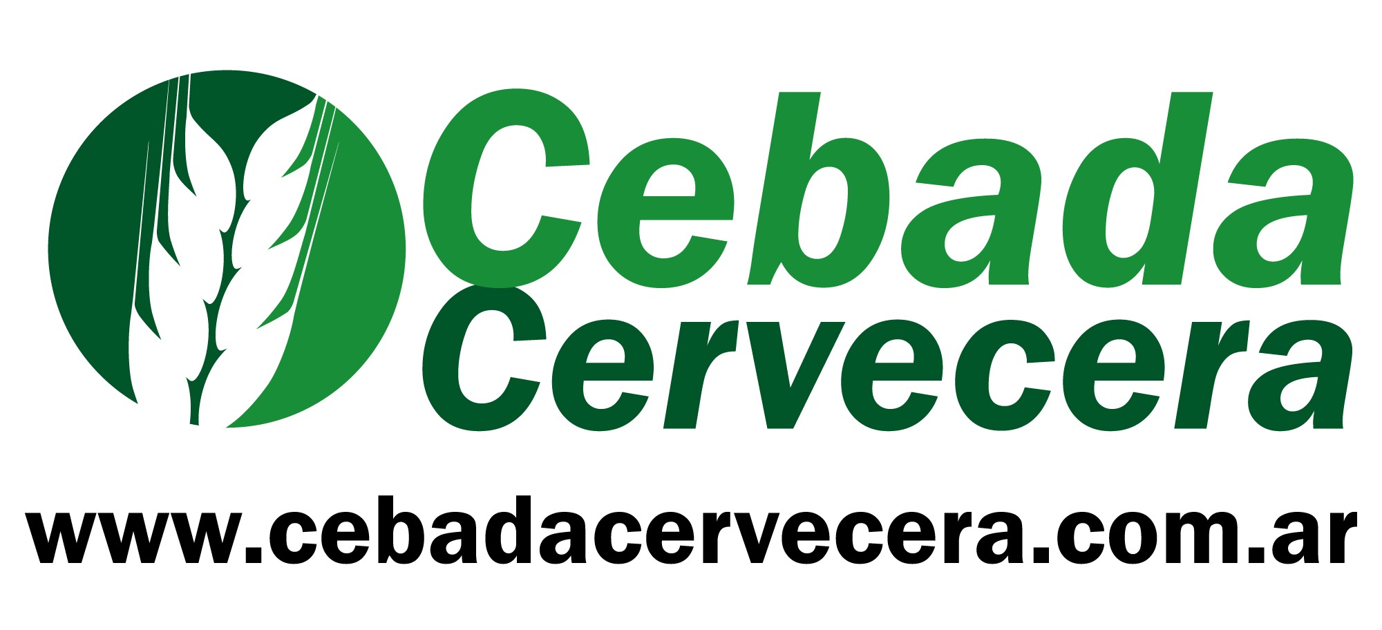 Cebada Cervecera | Cebada Cervecera | Producción, variedades y mercados